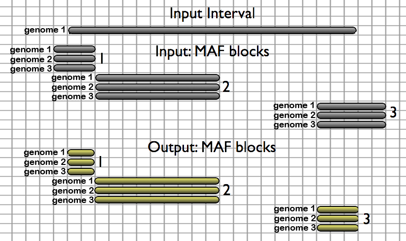 Galaxy | Published Page | Making whole genome alignments usable for ...